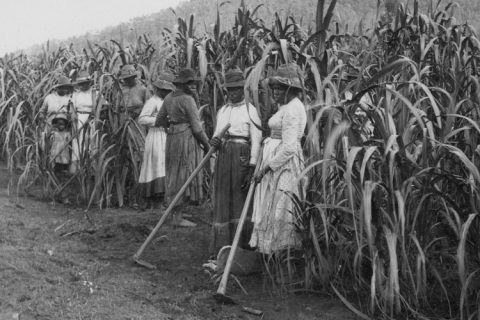 The Maji Maji Rebellion Of Tanzanians Against German Brutality (1905 ...