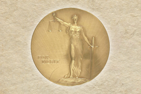 The legend of Julia Brown / SamePassage