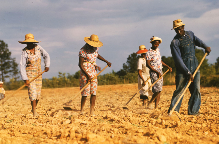 Sharecropping Gallery / SamePassage