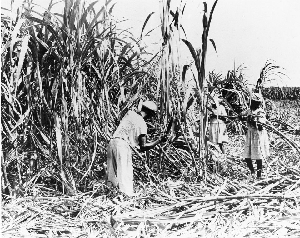 Slavery in the Caribbean / SamePassage