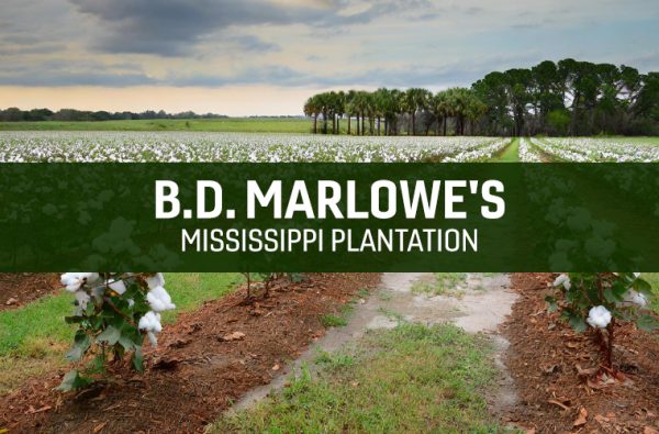 B.D. Marlowe Plantation / SamePassage