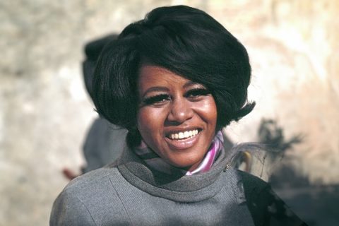 Judy Pace / SamePassage