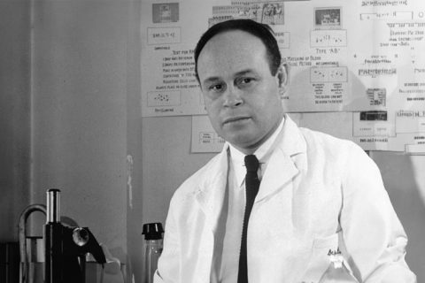 J. W. Reed / SamePassage